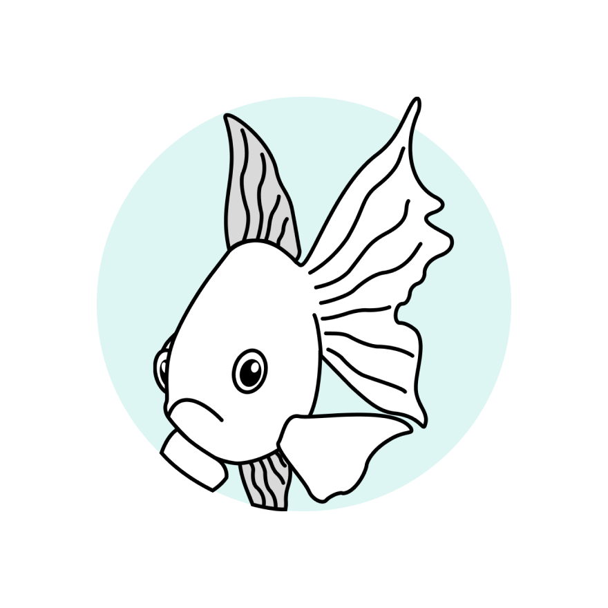 PetWorld | Leading Online Pet Shop | Pet Supplies Ireland &VerticalLine ...