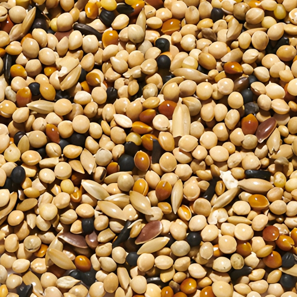 Foreign Finch Seed Mix 1kg – Tropical Finch Food | Petworld.ie
