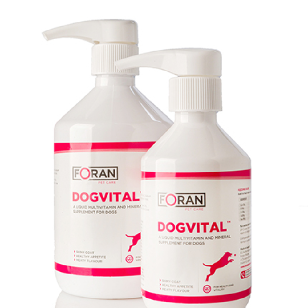 Dogvital Multivitamin & Mineral for Dogs | Petworld.ie
