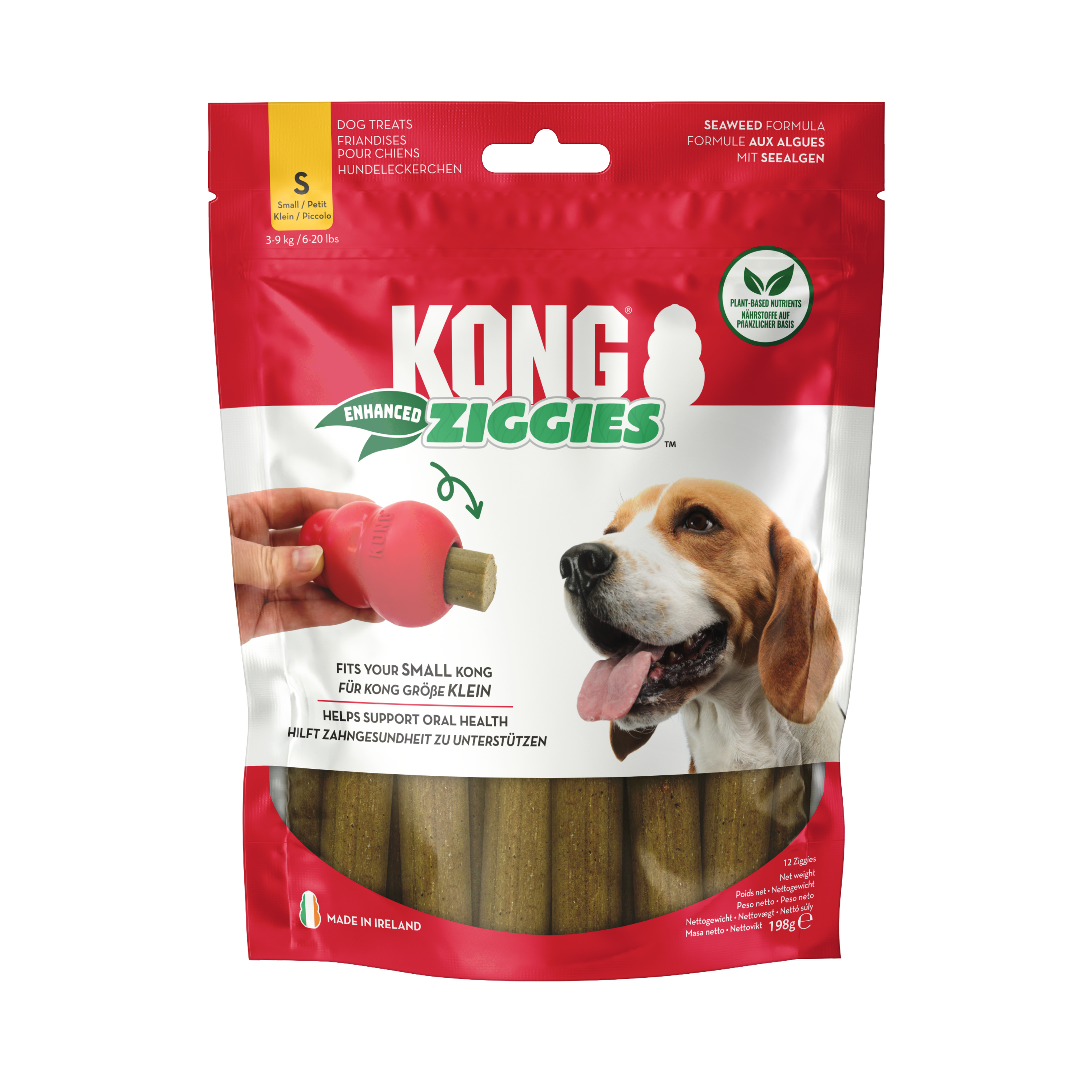 KONG Ziggies &VerticalLine; Petworld