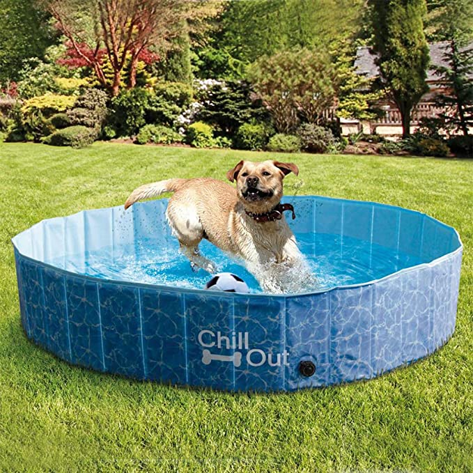 AFP Chill Out Splash and Fun Dog Pool | Petworld