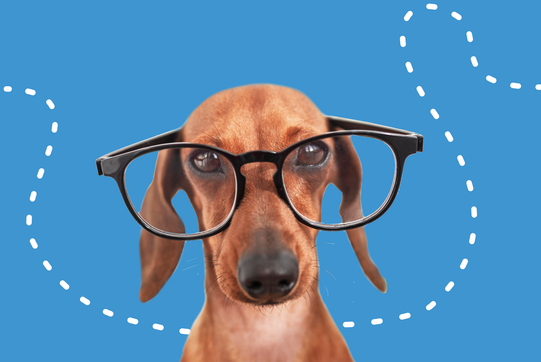 Gary's Pet World | Pet Shop Letterkenny &VerticalLine; Petworld