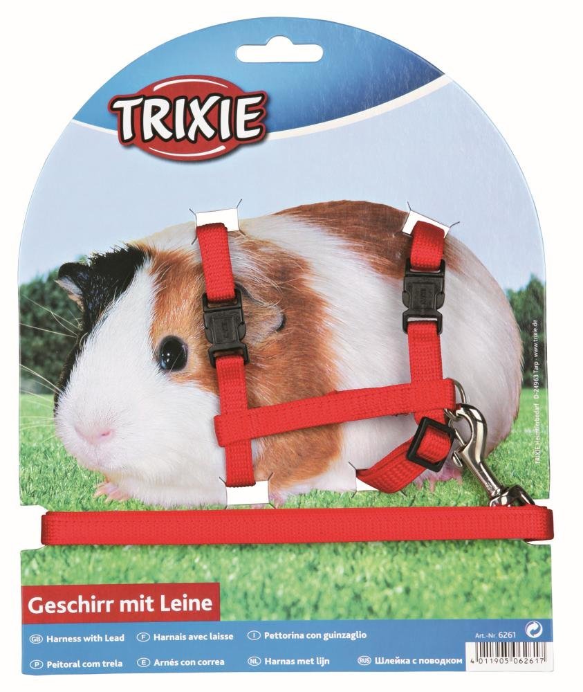 Nylon Guinea Pig Harness with Lead | Petworld